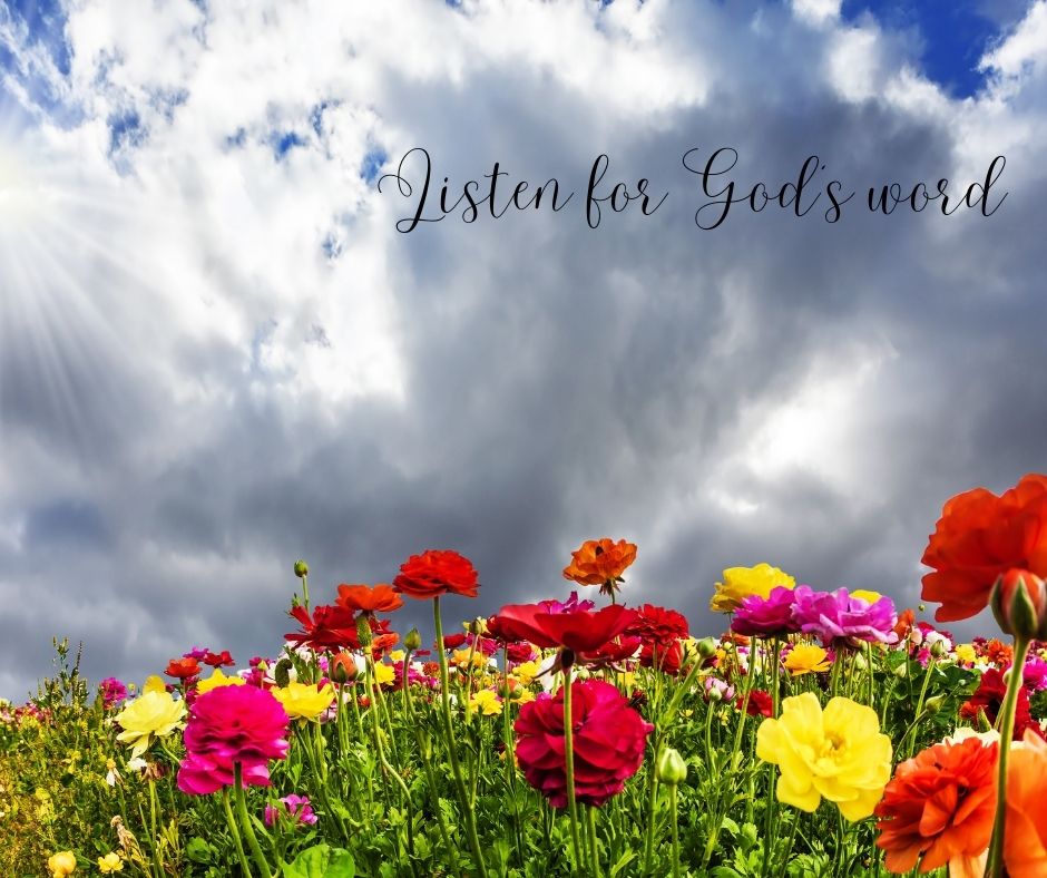 June 2022 Devotions - Jesse Lee Church